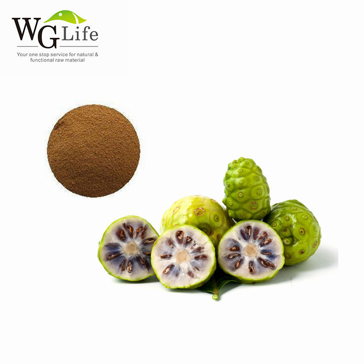 Hainan noni freeze dried powder – WG Life